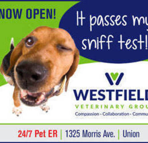 Westfield Veterinary Group Opens Ultramodern Animal Hospital in Union ...