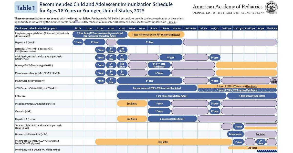Immunization Recommendations from the American Academy of Pediatrics ...