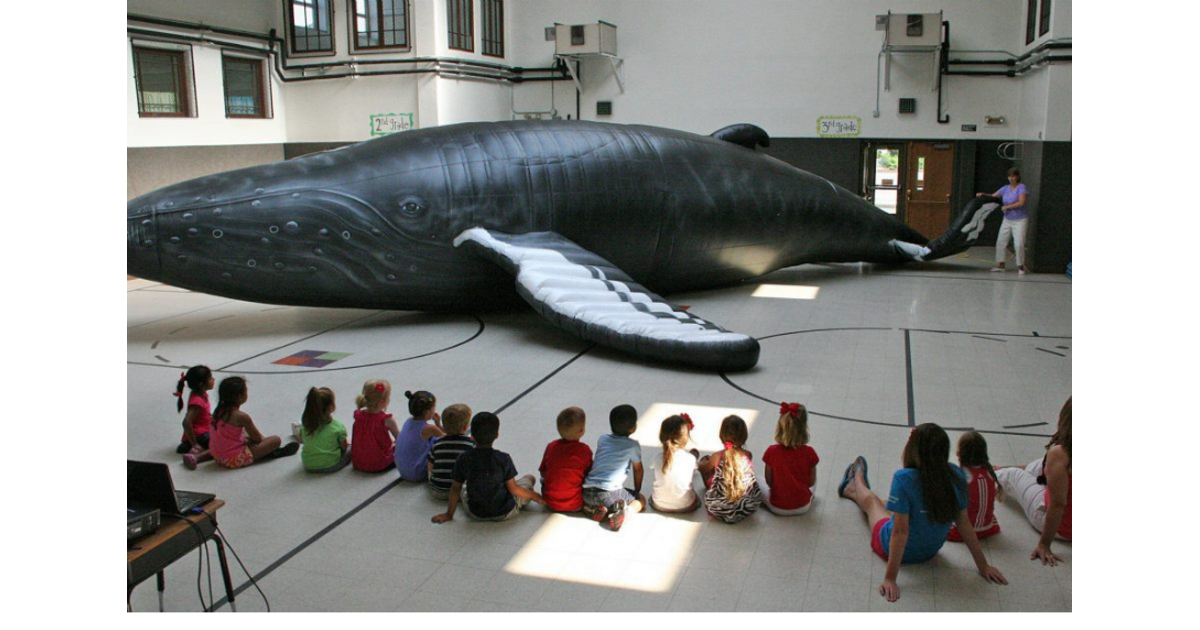 Meet Nile: Life-size inflatable whale coming to Piscataway Library on ...