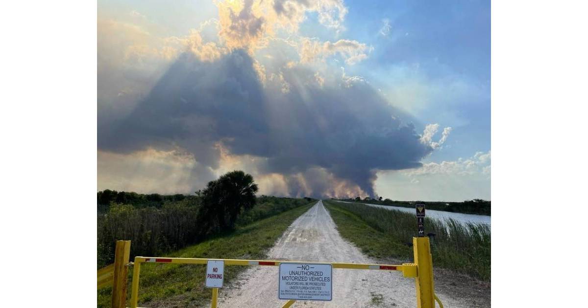 What's That Smoke? Wildfires Burning in the Everglades West of Parkland ...