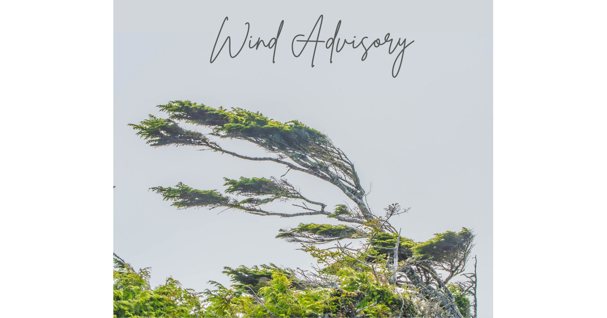 Wind Advisory in Effect Until Early Saturday Morning | Parsippany, NJ ...