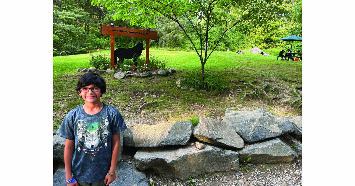 Raritan 4th Grader Looking to Save Wolves | Bridgewater/Raritan, NJ ...