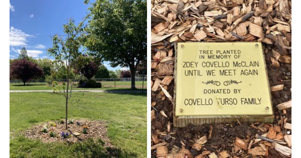 Remember Nutley Class of 2021's Zoey Covello McClain Saturday at DeMuro ...