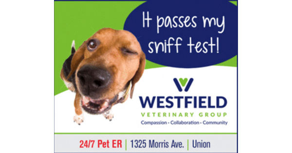 Westfield Veterinary Group - Union, NJ Directory | TAPinto