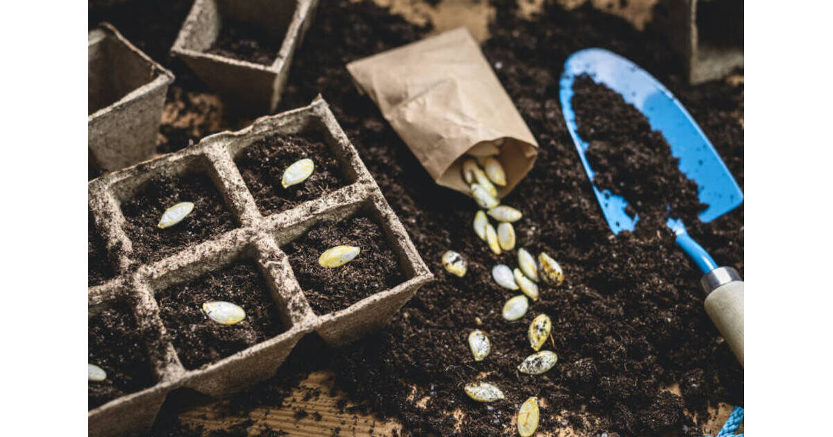 Learn how to Make a Cold Stratification Tray and Solar Greenhouse at ...