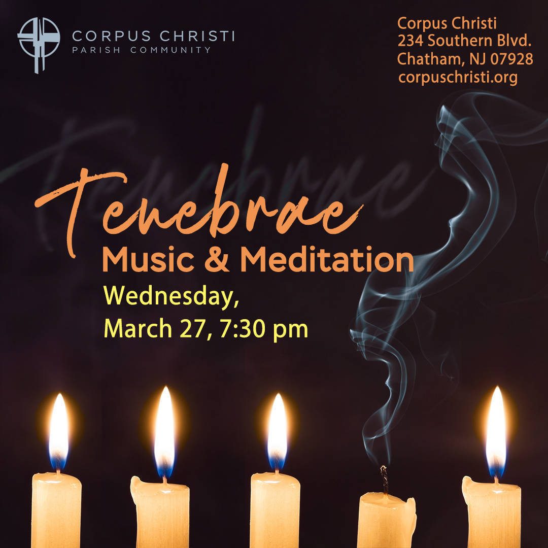 Madison High School Key Club and Thursday Morning Club Collaborate to ...