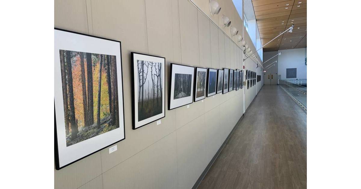 ROBERT WOOD JOHNSON UNIVERSITY HOSPITAL (RWJUH) HAMILTON AND PRINCETON ...