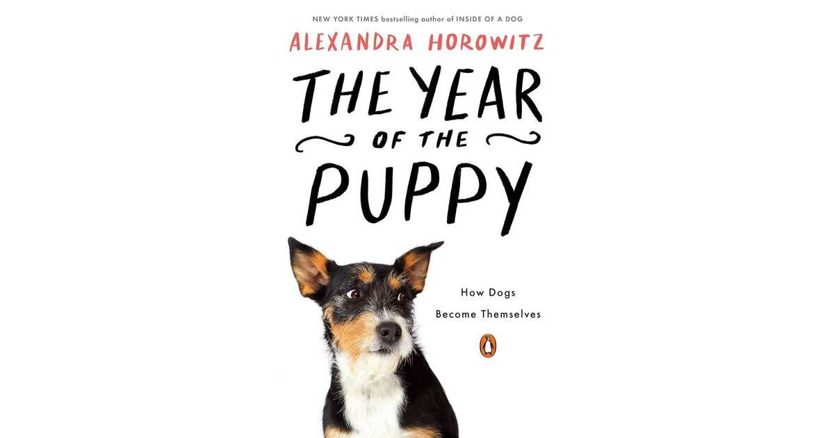 Horowitz shares new book at library | TAPinto | TAPinto