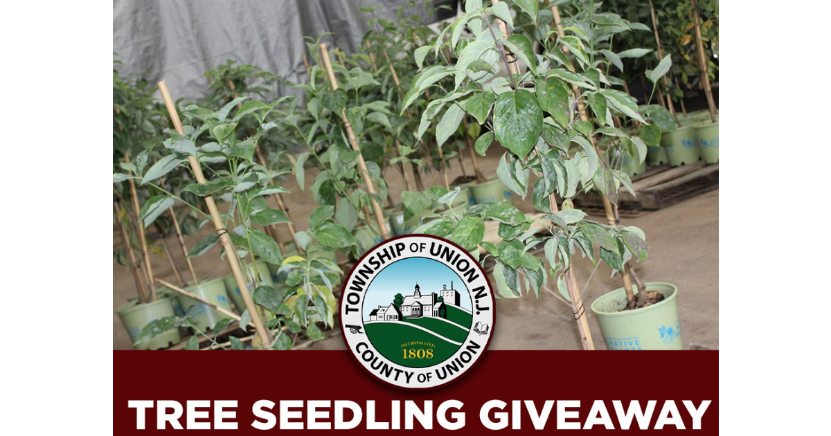 Union Tree Seedling Giveaway | TAPinto | TAPinto