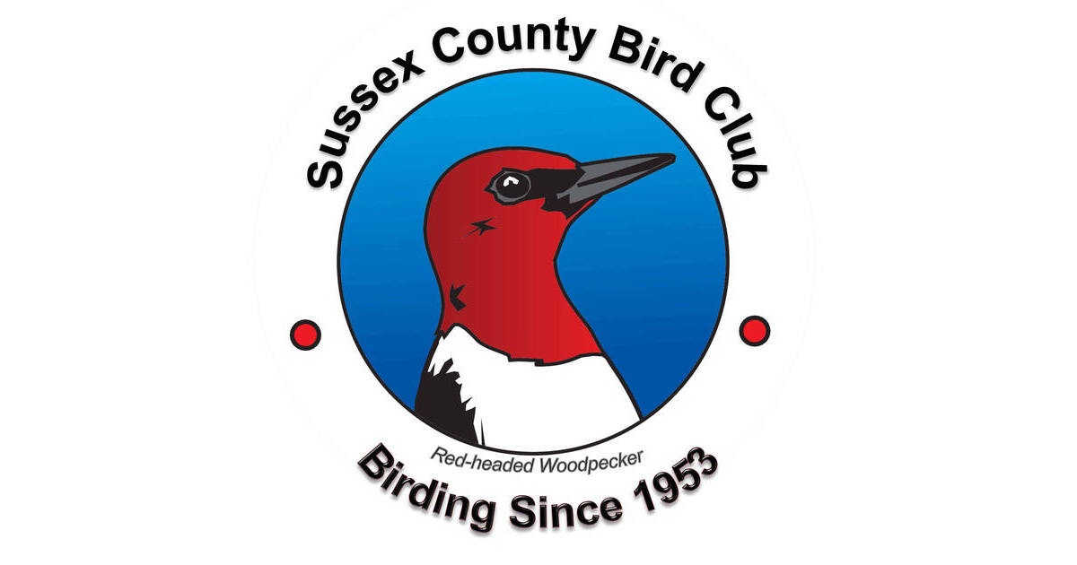 Sussex County Bird Club Annual Dinner | TAPinto | TAPinto