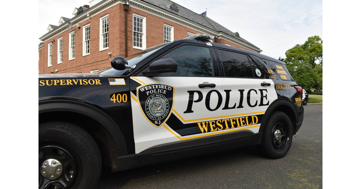 Westfield Police Make Arrest in Car Theft | Westfield, NJ News TAPinto