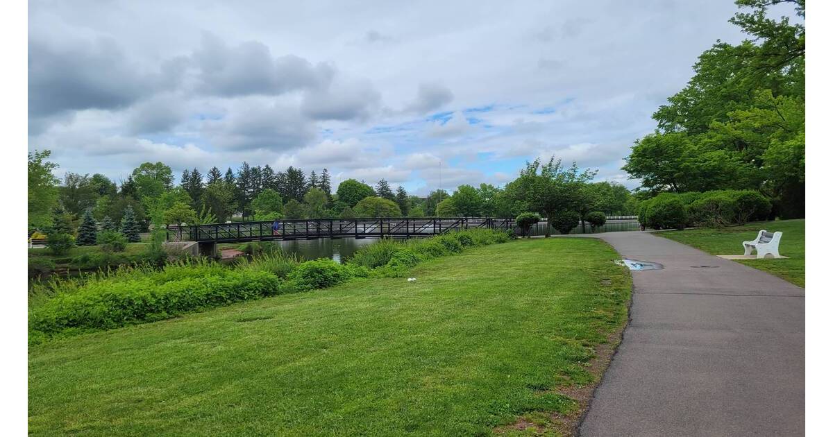 Plays-in-the-Park 2025 Line Up Announced, Productions at Roosevelt Park ...