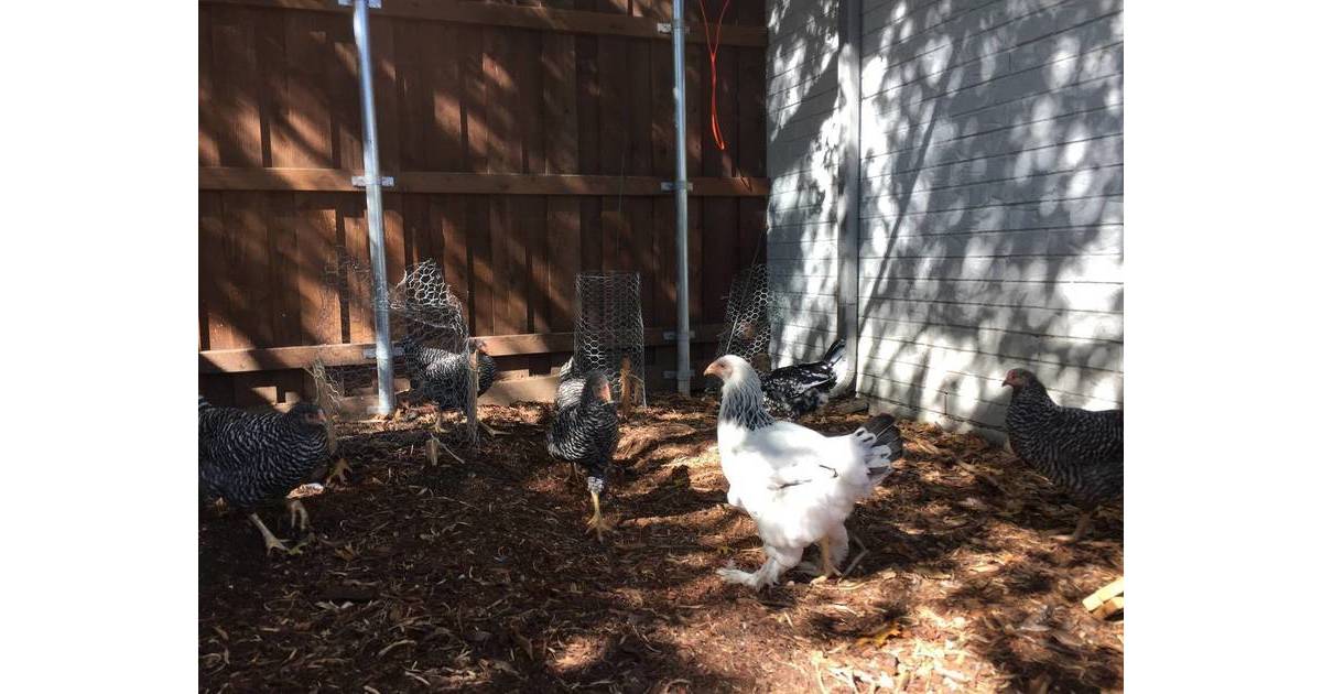 Bergen County Approves $300K Grant to Reconstruct Garretson Forge and ...