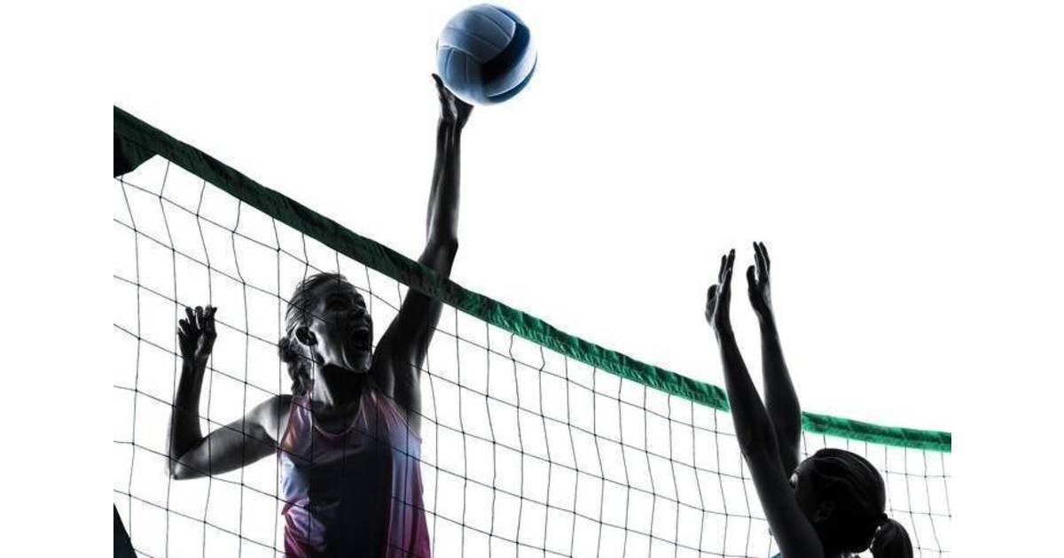 Nutley Raiders Girls Volleyball Fight for Every Point, and Much More ...