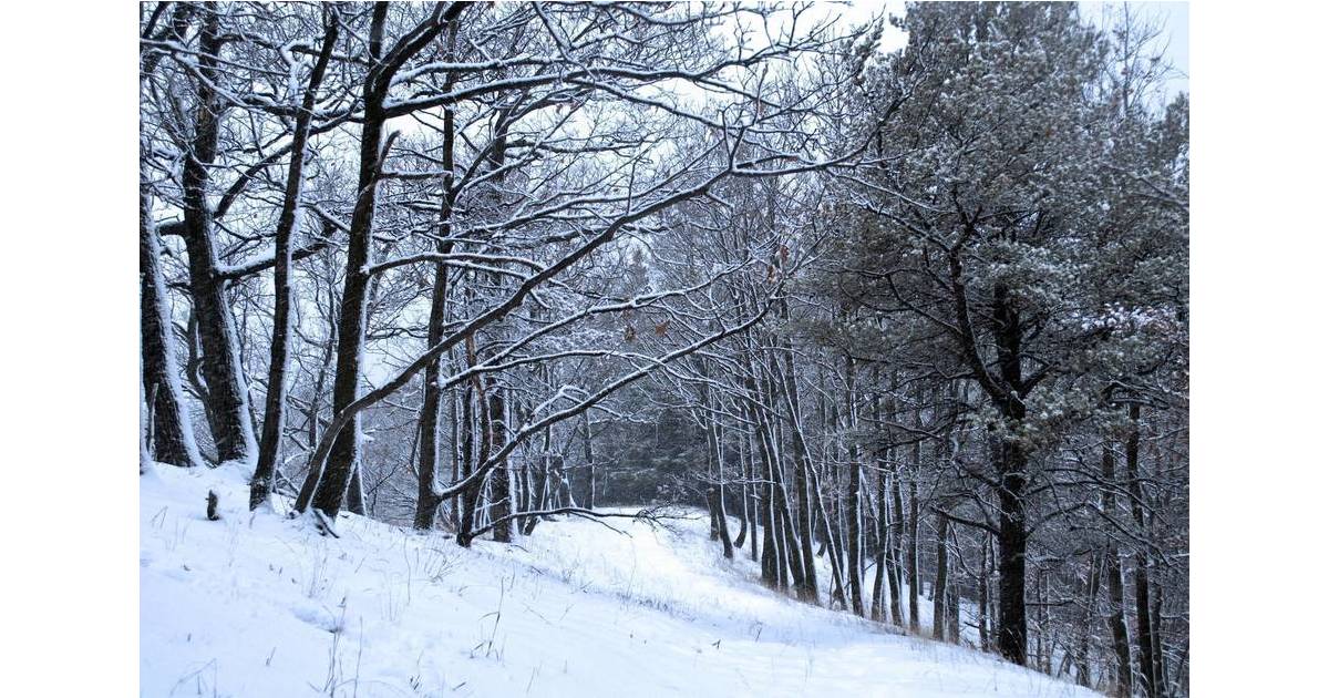 Capture, Submit the Beauty of Mercer Parks in Winter Photography ...