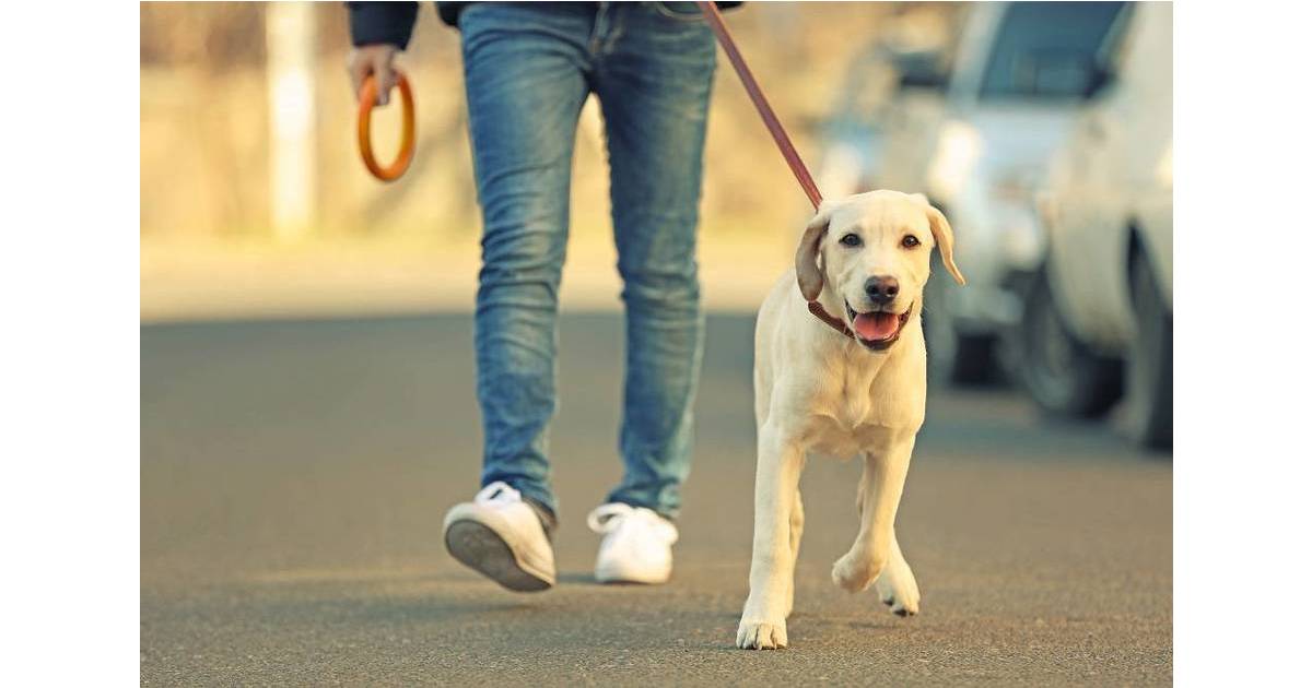 Milltown Public Library To Host Weekly Walking Club | Milltown ...