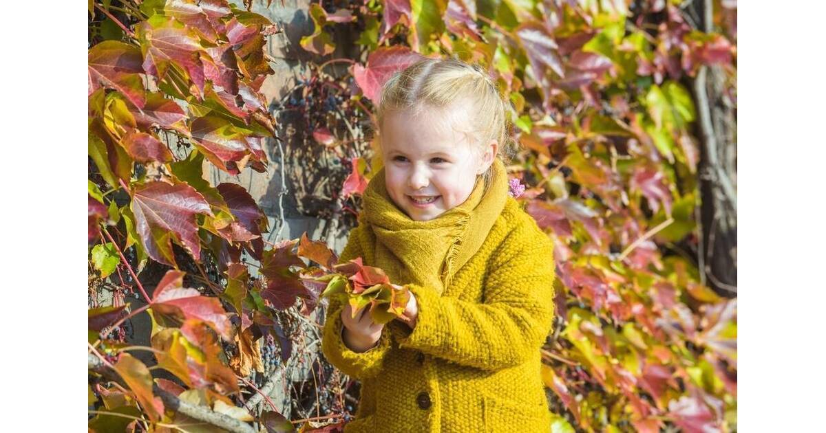 Don't Miss the Milltown Public Library's Harvest Day Festival ...