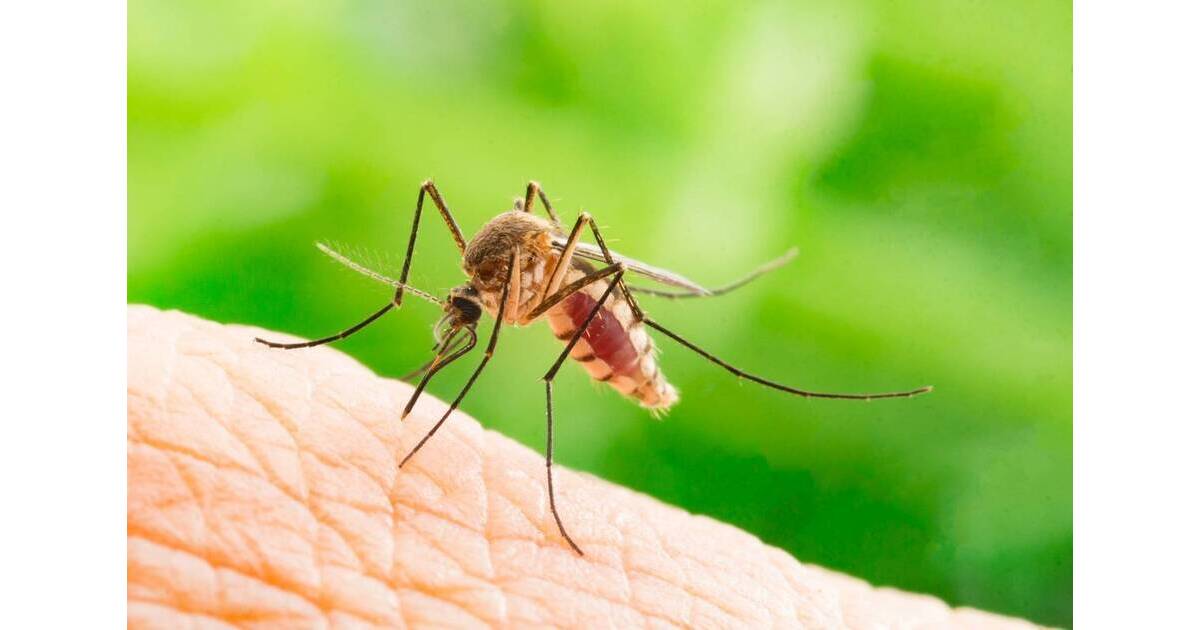 Mercer County Mosquito Control Spraying Operations Scheduled for ...