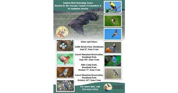 Guided Bird Watching Tours Planned At Passaic County Parks | Passaic ...
