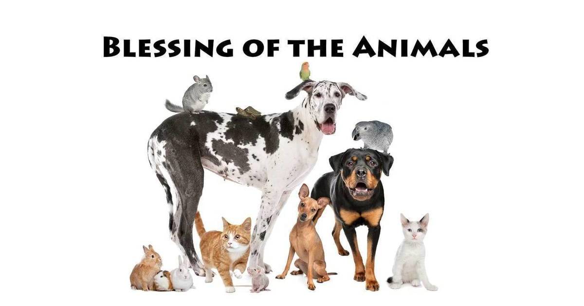 "Blessing of the Animals" Benefits Local Shelter | South Brunswick, NJ ...