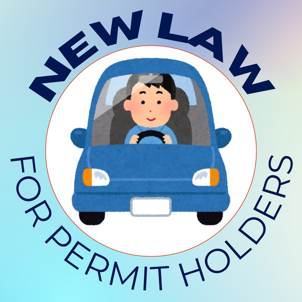 NJIO Announces New Leadership and Exciting 2024-2025 Season | Summit ...