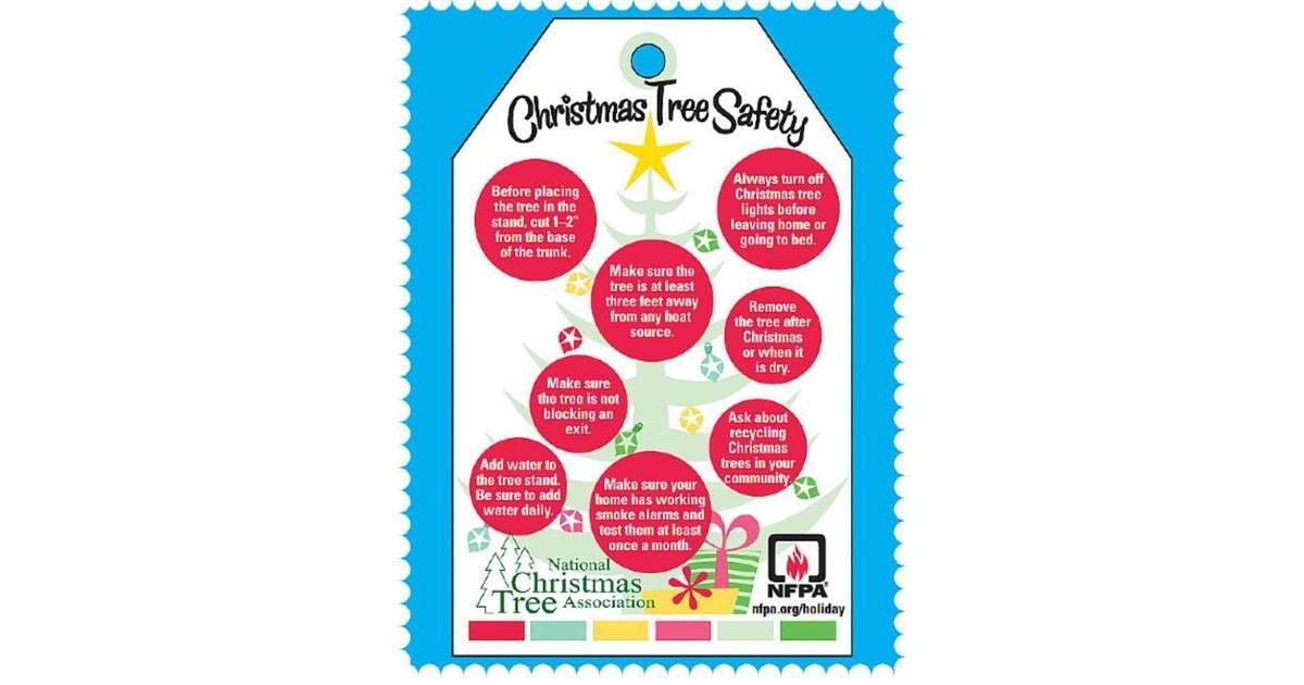 Annapolis Christmas Tree Fire Images