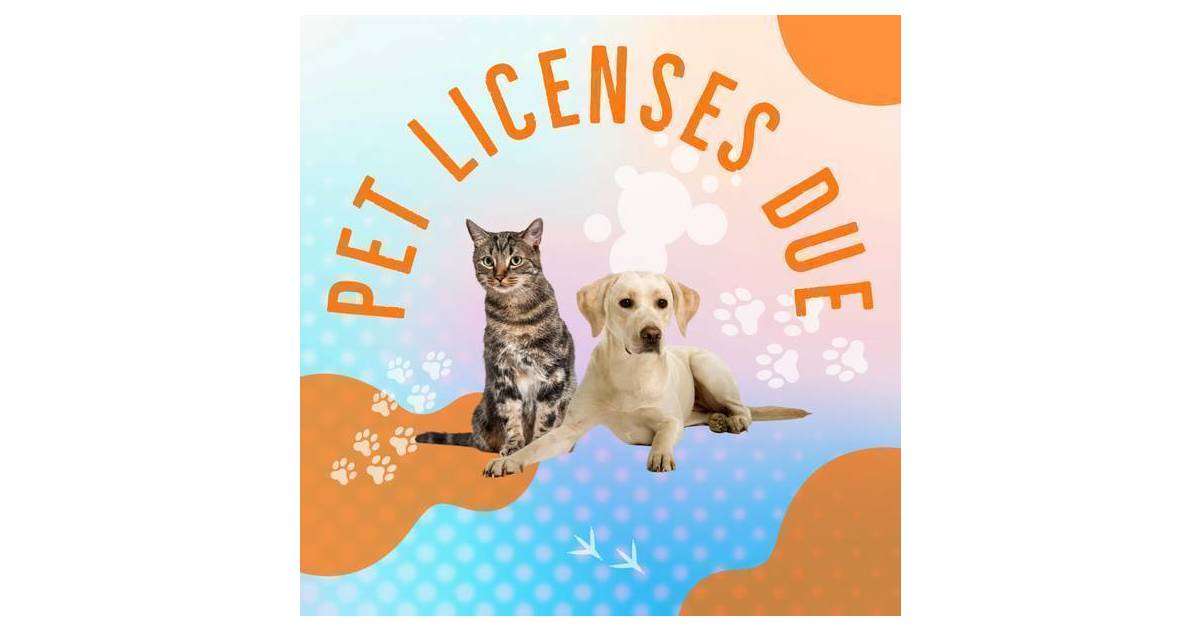 Madison Dog and Cat Licenses Are Due by January 31, 2024 | Madison, NJ ...