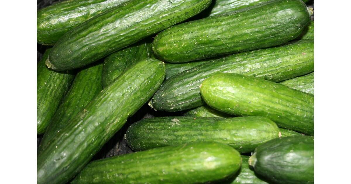 Beef Stew and Cucumbers Recalls Announced by USDA | Sparta, NJ News ...