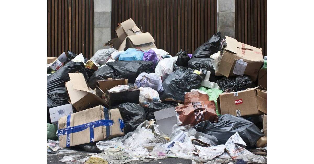 Paterson Council Approves $7.7M Solid Waste Contract with Filco Carting ...