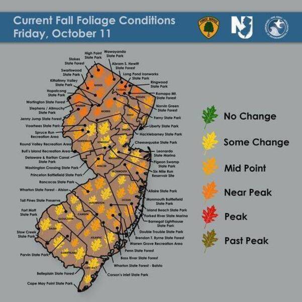 Princeton, NJ Local News | TAPinto