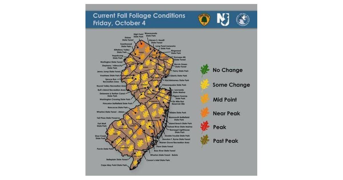 Explore NJ's Stunning Fall Foliage This Week! | Morristown, NJ News ...