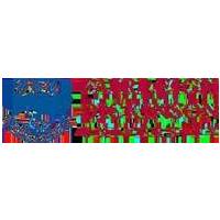 28 Morristown Residents Named to Fairleigh Dickinson University's ...