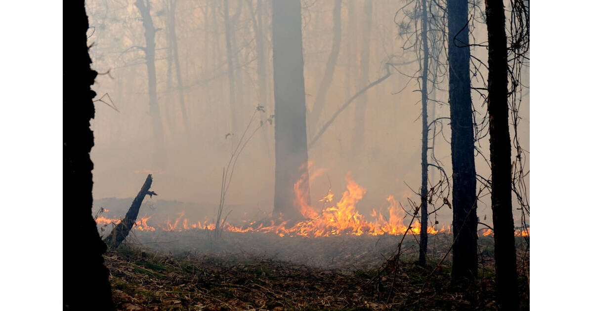 Burlington County Teen Charged with Arson in Significant Forest Fire ...