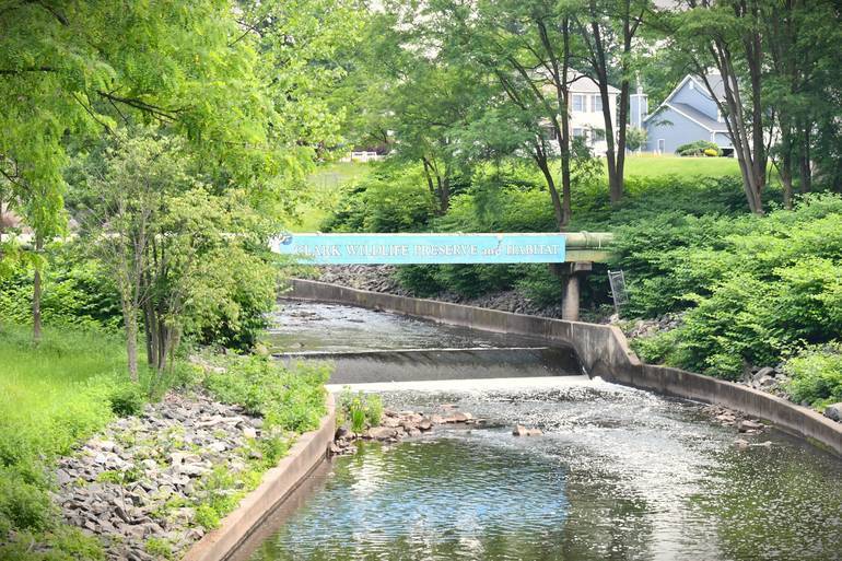 Clark, NJ Local News | TAPinto