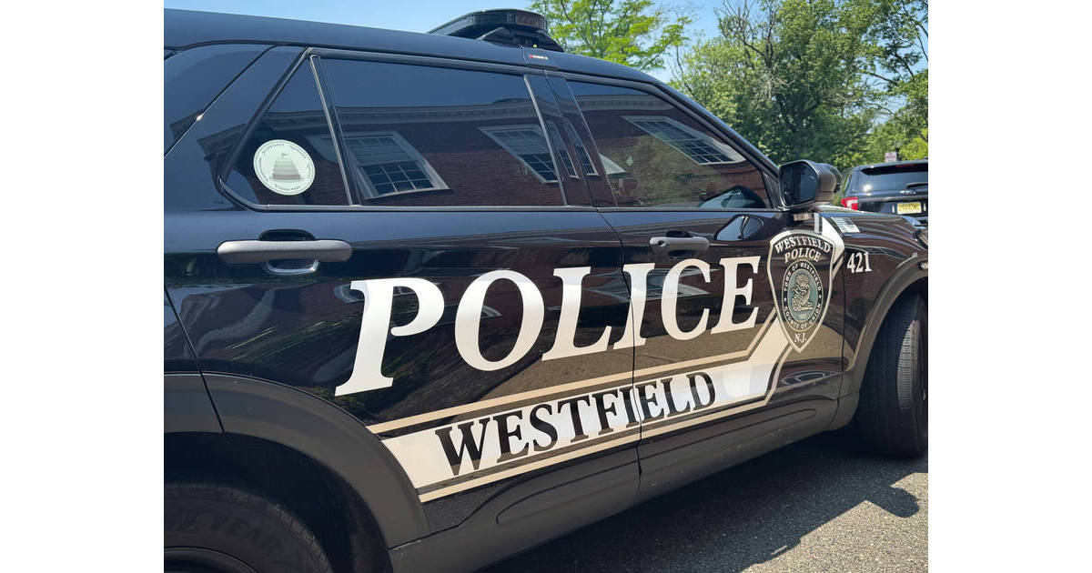 Westfield Police: Shoplifting, Wallet Theft, Fraud Reported Last Week ...