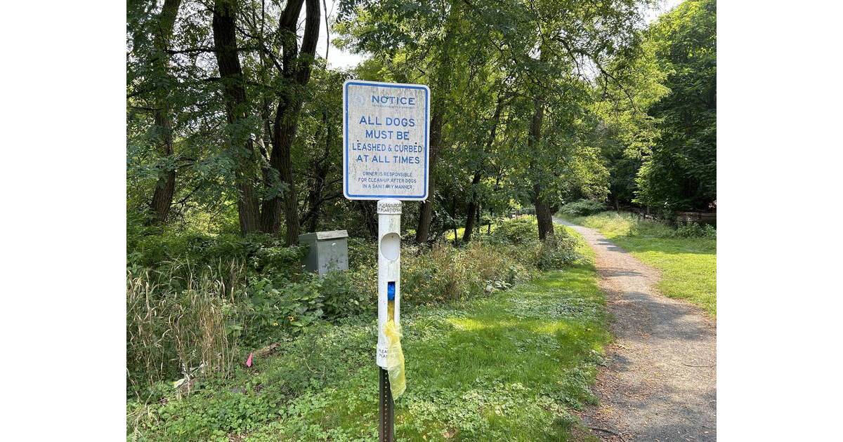 Verona’s Peckman Park To Debut New and Improved Walking Trail This ...