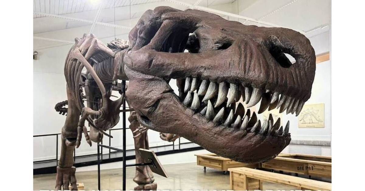 Bringing Dinosaurs to Life: Monmouth Museum's Exhibit Captures ...