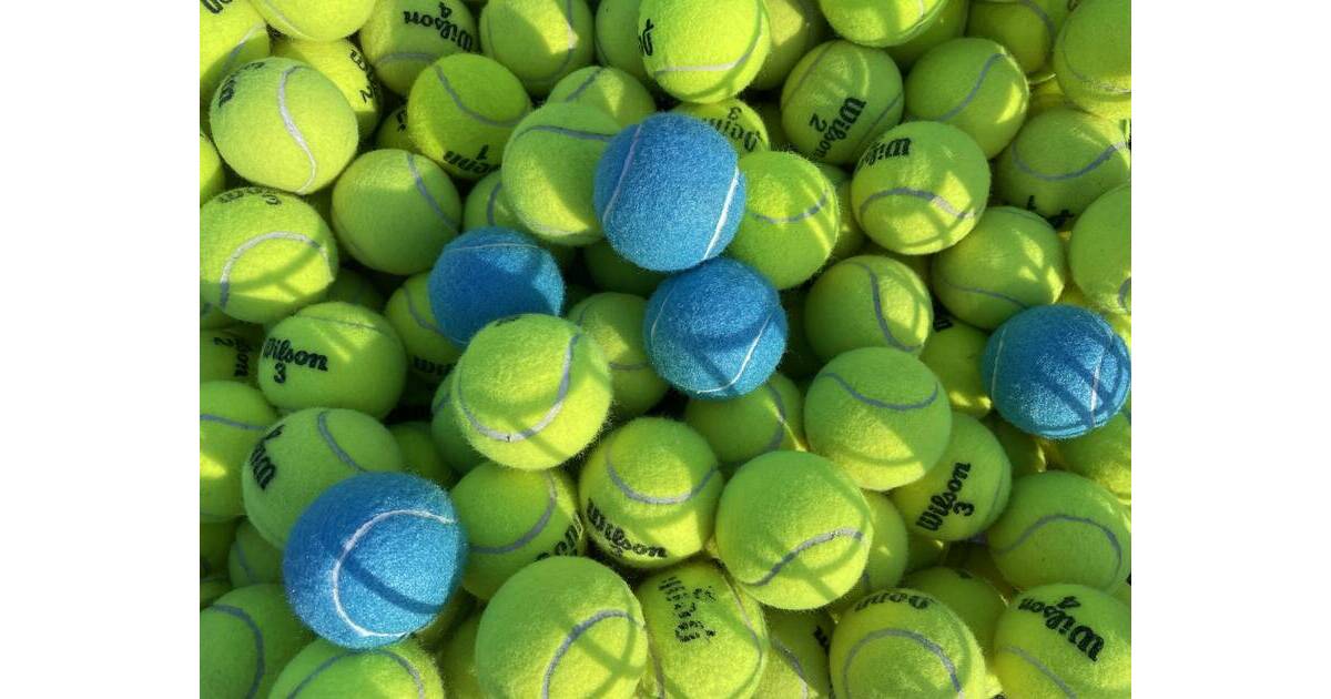 Stateliners Rolling: Phillipsburg Tennis Wins Big Ahead of State ...