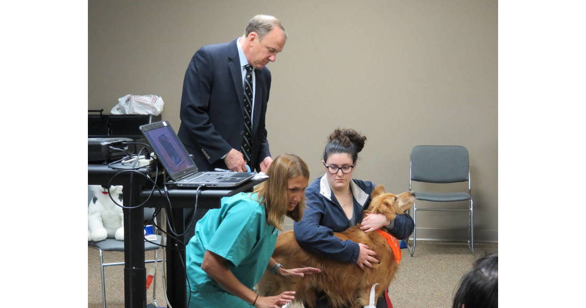 American Animal Hospital Teaches "Pet First Aid" at Randolph Public ...