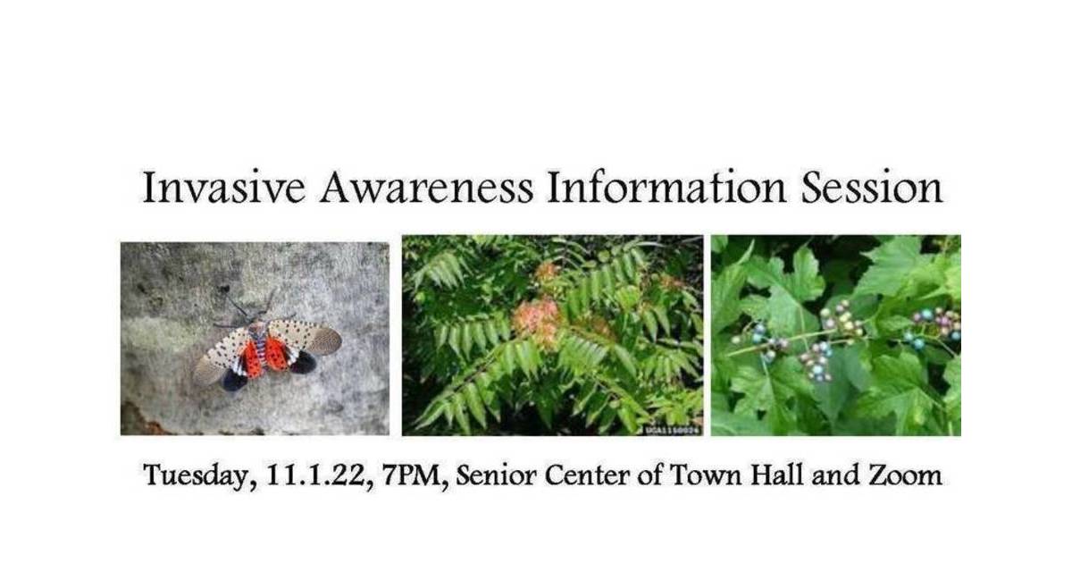 Town of Morristown Offering Invasive Awareness Information Session ...