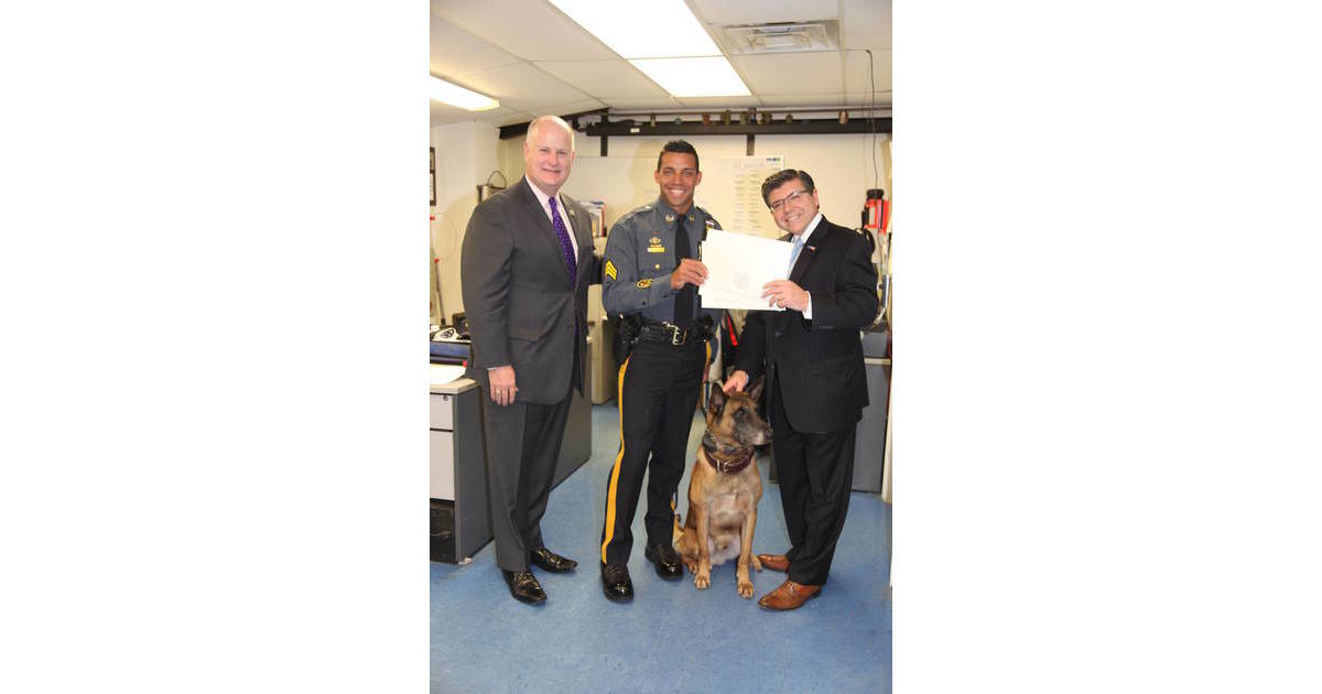 Assembly Awards Police Dogs and Handlers for Roxbury Burglary Bust ...