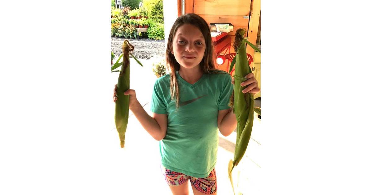 12 Top Roadside Stands For New Jersey Sweet Corn | Sparta, NJ News ...