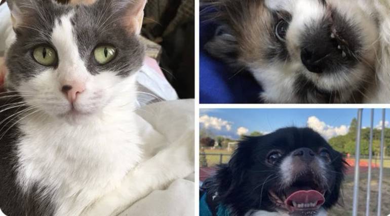 Nutley, NJ Local News | TAPinto