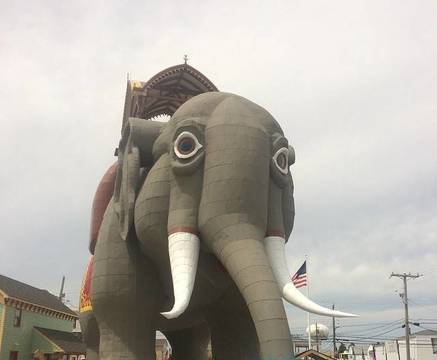 National Moth Week 2019 Breaks Records with Nearly 1,500 Events in 46 ...