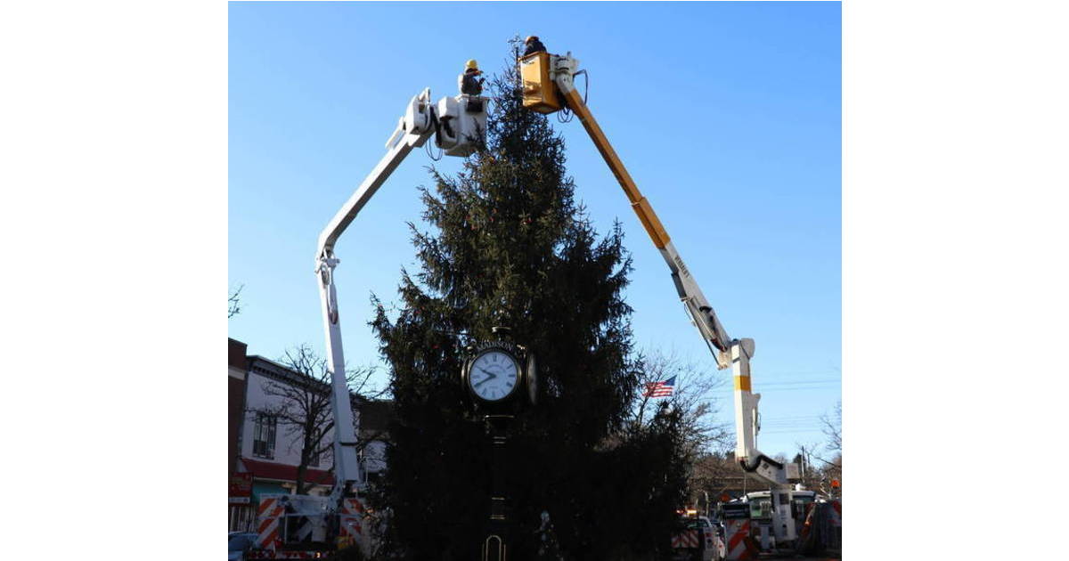 Madison is Looking for Their 2023 Christmas Tree | Madison, NJ News TAPinto