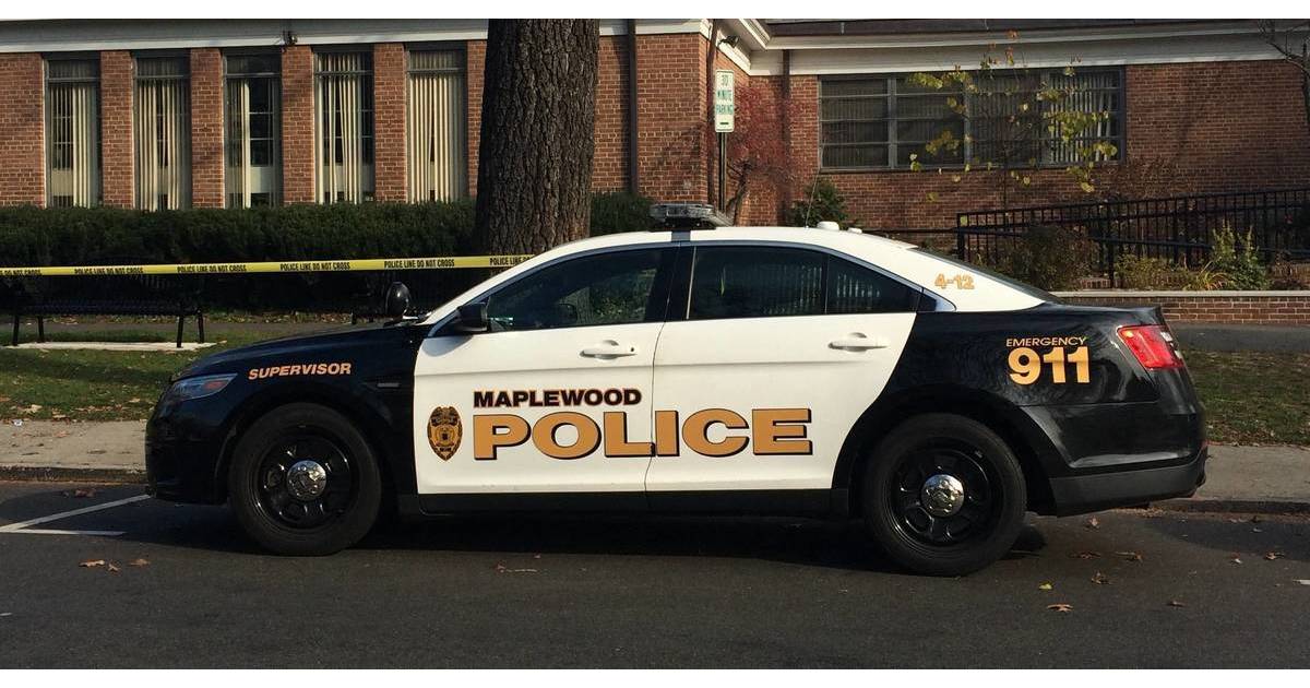 6 Maplewood Police Officers Disciplined for July 5, 2016 Incidents ...