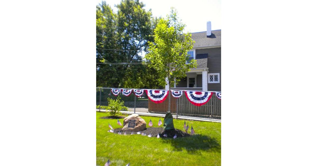 Tree Dedicated to Chatham World War I Fallen on Centennial at Fishawack ...