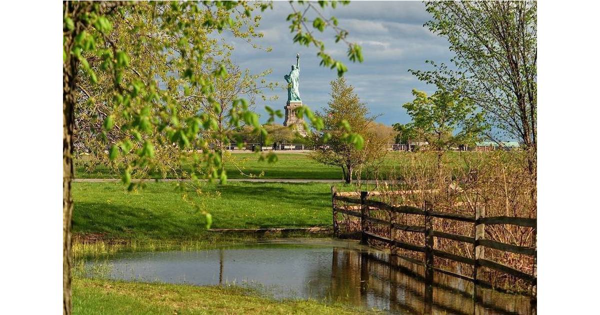 Somerville Library Hosts Summer History Program | Somerville, NJ News ...