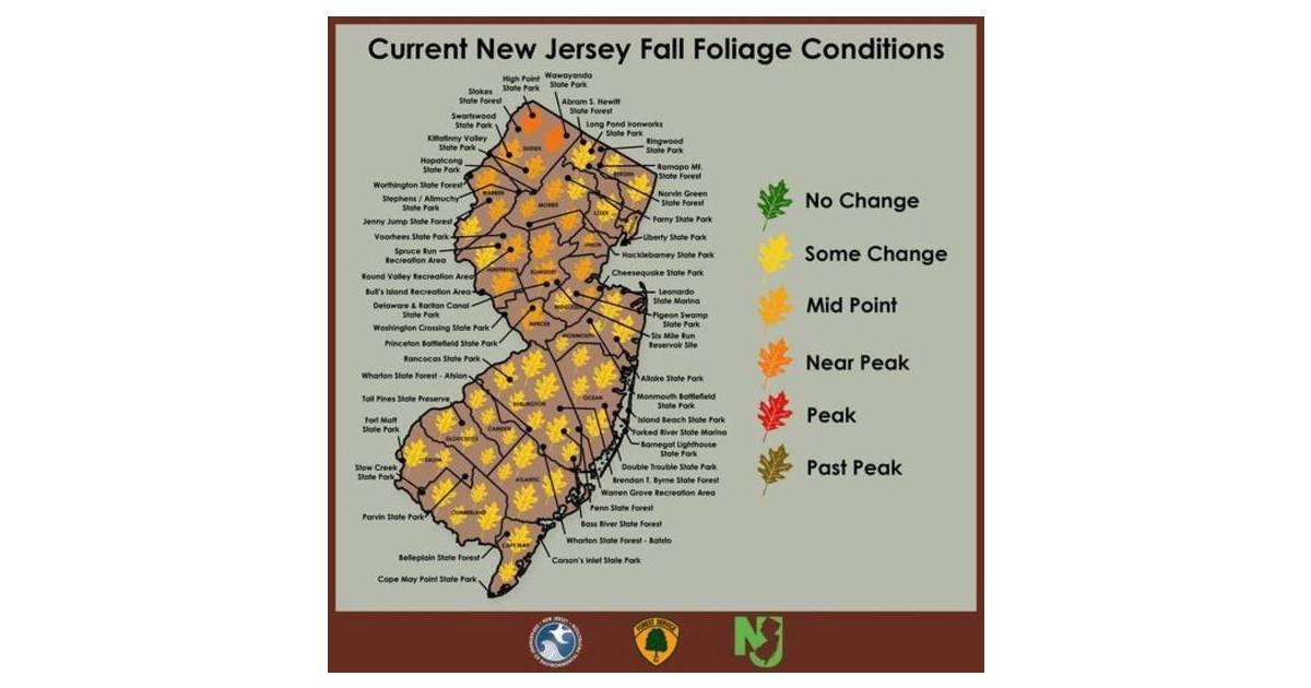 2022 NJ Fall Foliage Show Near Peak in Sussex, Colorful Leaves Take ...