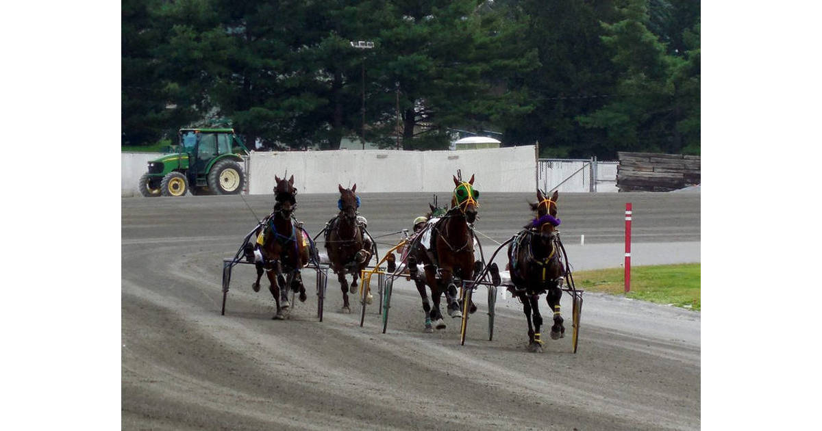 Open Space Pace is bigger than ever | News TAPinto